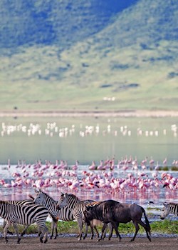 Lootke | Glimpse Earth's primeval beauty in wildlife-filled Ngorongoro ...